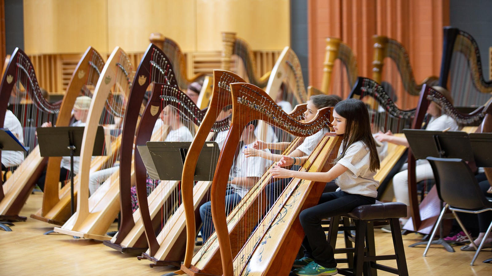 Grand finale concert of Harp Day set for Sunday | News, Sports, Jobs ...